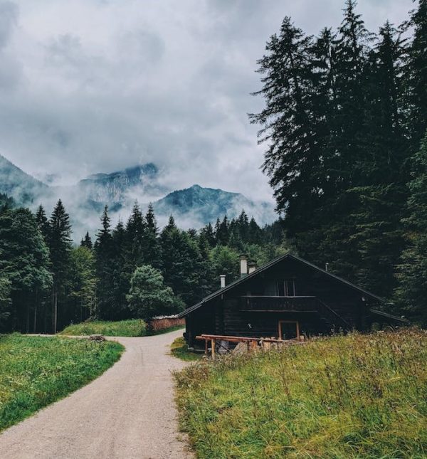 Metal Roofing Colors for Forest Environments