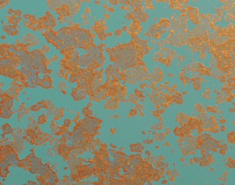 Painted and Coated Steel Products By Steelscape